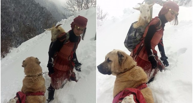 Girl carrying goat in her backpack goes viral for the cutest reason ...
