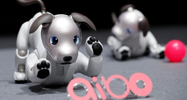 Sony revives pet AI project with updated AIBO robot dog - Daily Sabah
