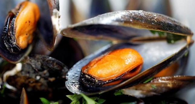 Plastic discovered in mussels from Europe to China amid growing ...