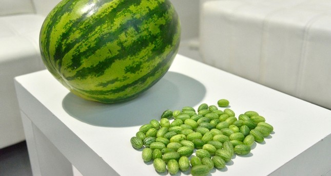 Turkish firm produces bite-sized watermelons - Daily Sabah
