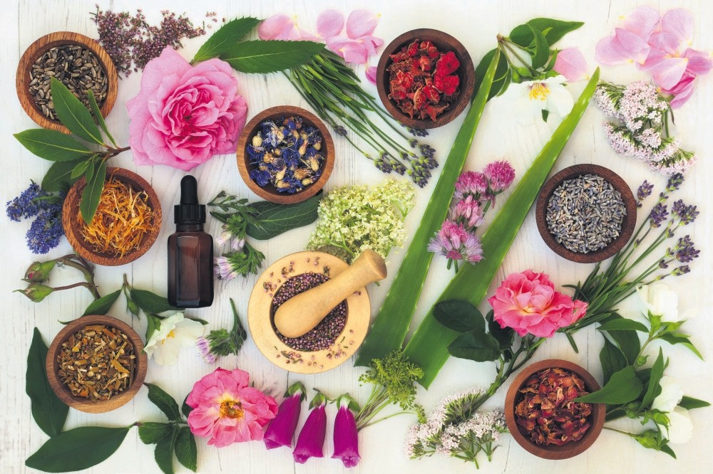 Phytotherapy: Complementary medicine in spotlight in 21st century ...