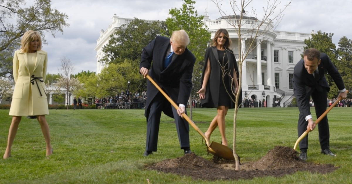 Trump-Macron friendship tree dies after White House planting | Daily Sabah
