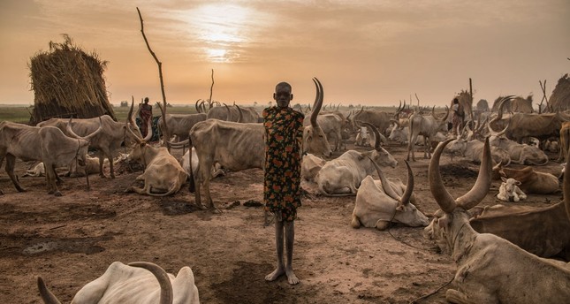 Photographer captures beauty of Dinka people, South Sudan's cattle ...