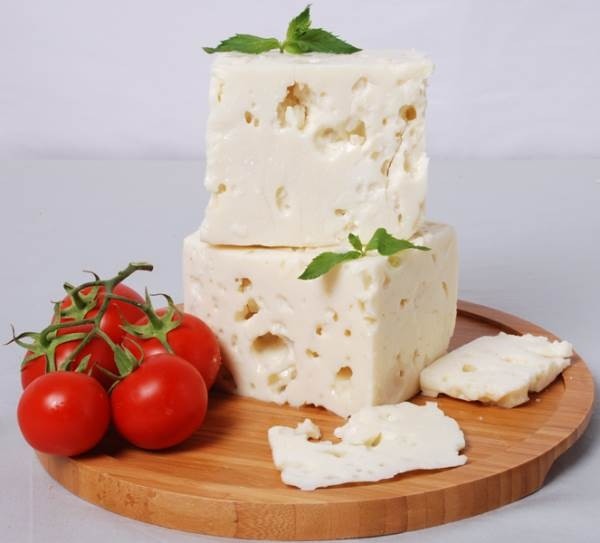 Anatolia's cheese legacy comes alive at Slow Food Festival | Daily Sabah