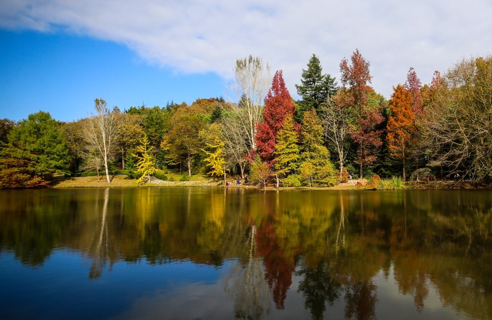 Into the wild: Atatürk Arboretum a safe haven for nature in the heart ...