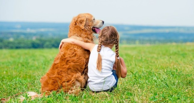 Pets are as good friends as siblings to children, study says - Daily Sabah