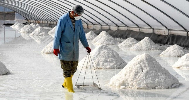 Salt consumption in Turkey down to 10 mg - Daily Sabah