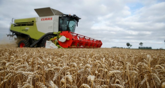 One of worst droughts in decades devastates South Europe crops - Daily ...