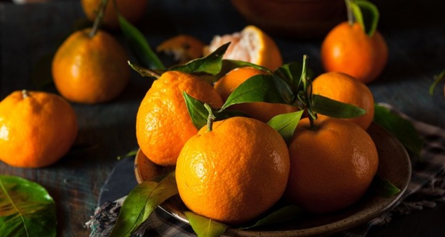 Orange fest: A juicy, sweet event in Antalya - Daily Sabah