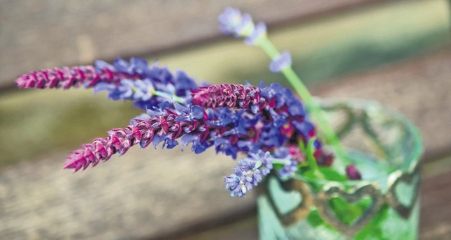 Fight winter germs with classic Turkish remedies - Daily Sabah